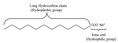 Structure Of Soap Molecule Class Atelier Yuwa Ciao Jp