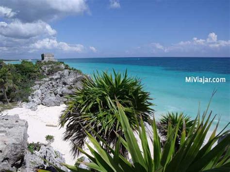Cómo llegar a Tulum desde Playa del Carmen Mi Viajar