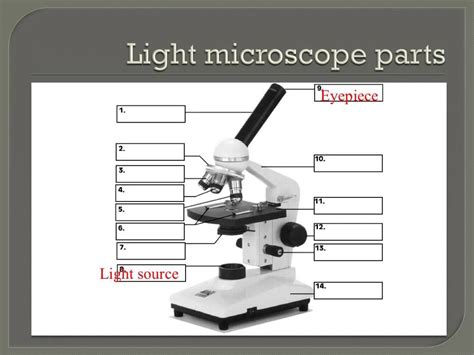 Basic Microscope Parts And Functions