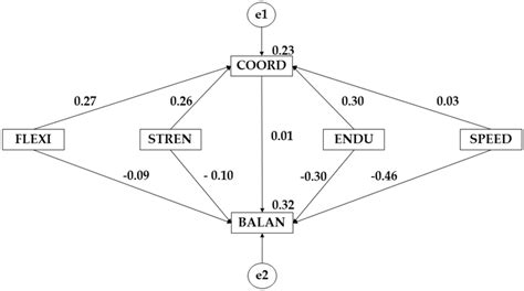 effects of variables for the male sex before implementing the download scientific diagram