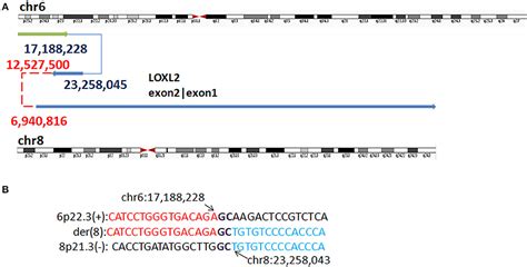 frontiers whole genome low coverage sequencing concurrently detecting copy number variations
