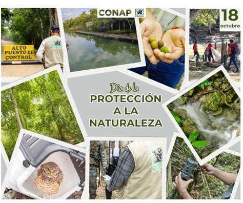 Este miércoles se conmemora el Día Mundial de Protección de la