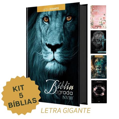 Kit 5 Bíblias Sagrada Jovem Capa Dura Versão nvi Letra Gigante no Shoptime