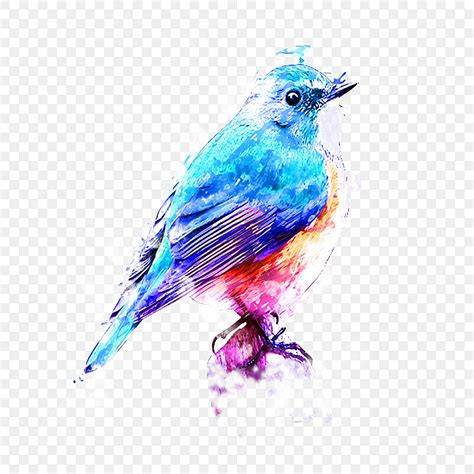 Pássaro Da Aguarela Mão Desenhada Ilustração Animal PNG Aquarela