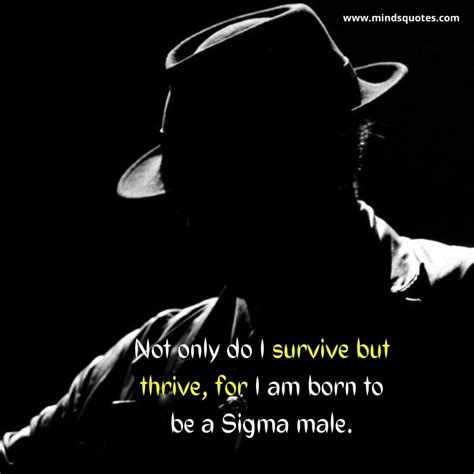 100 Sigma Rule Quotes The Ultimate Expression Of Self Reliance