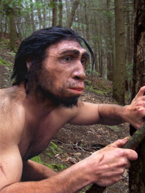 Homo Erectus Upright Man Fire