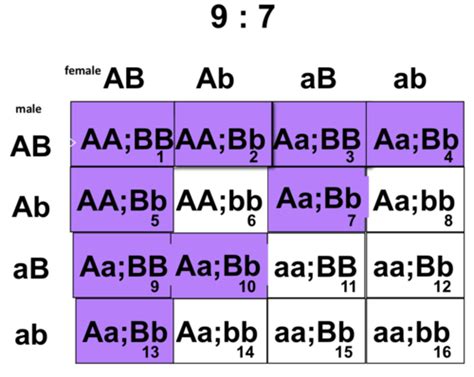 Types Of Mutation And Departure From Mendelian Ratios And Epistasis