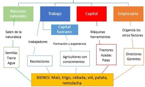 Mapa Conceptual Sobre Los Factores De Produccion Brainlylat Images