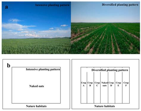 Ijerph Free Full Text Crop Diversity At The Landscape Level Affects