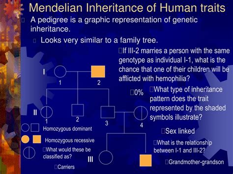 ppt mendelian inheritance of human traits powerpoint presentation free download id 9460697