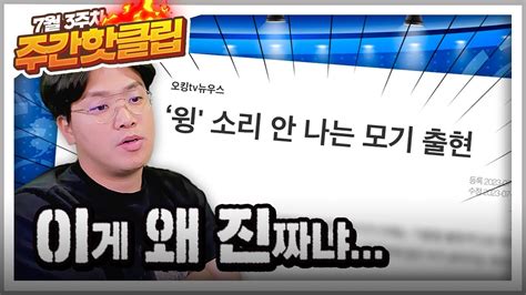 모기가 진화한 거 같다고요 YouTube
