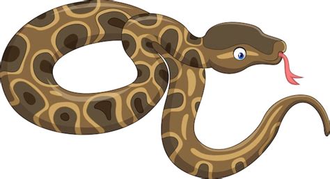 Cobra Dos Desenhos Animados Isolada No Fundo Branco Vetor Premium