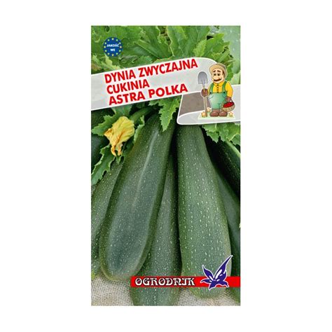 Nasiona Dyni Cena Online Sklep Ogrodniczy P P H U Ogrodnik