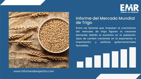 Mercado De Trigo Tama O Cuota Crecimiento An Lisis