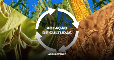 Rotação de culturas na prática o que é e como fazer e quais os benefícios