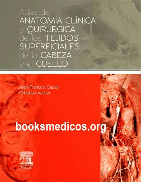 SOLUTION Atlas De Anatom A Cl Nica Y Quir Rgica Gaudy Vacher Studypool
