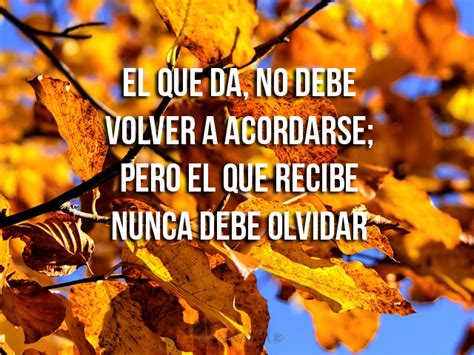 Las 83 Mejores Frases De Agradecimiento Frases Citas Y Reflexiones