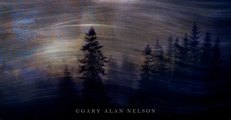 Gary Alan Nelson Photography
