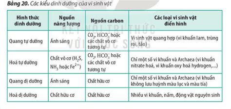 Bài 17 Vi sinh vật và các phương pháp nghiên cứu vi sinh vật Lương