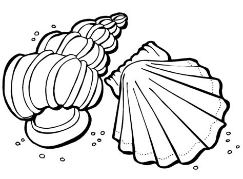 Due Grandi Conchiglie Disegno Da Colorare Gratis Disegni Da Colorare