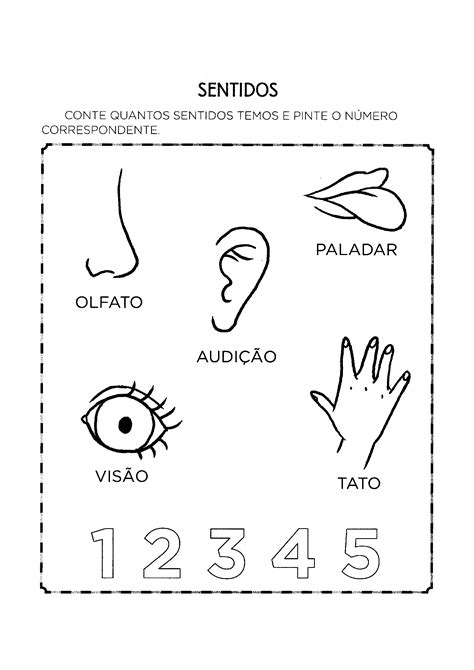 Atividades sobre os Cinco Sentidos para Educação Infantil Mundinho da