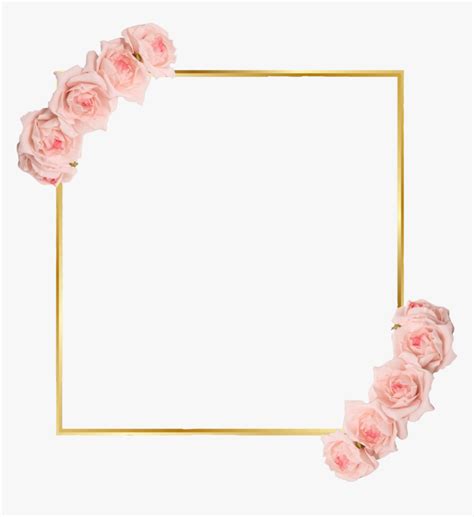 The Best 6 Rose Gold Border Png Transparent Imagewindinterest