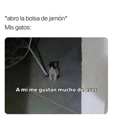Mi Emo Interior Lo Reclama Ya Tienes 26 No Puede Ser Memes