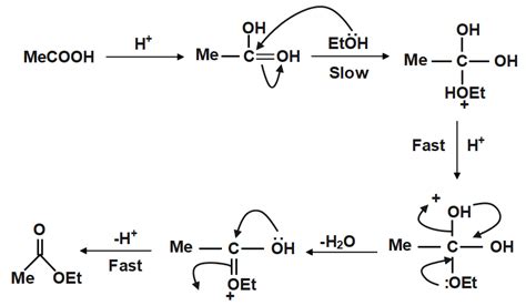 Esterification Reaction