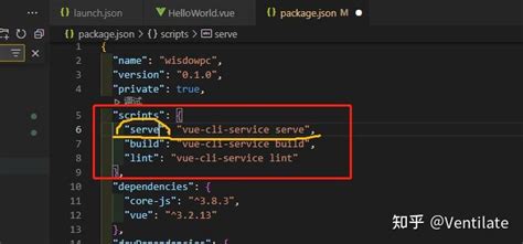 Vs Code Vue Missing Script Dev