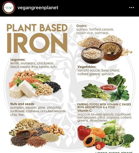 Pin On Vegan Vegan Nutrition Food Health Benefits Healthy Recipes