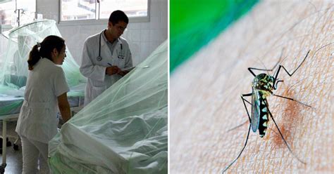 Dengue en Perú ya son más de 69 000 casos y 75 personas fallecidas