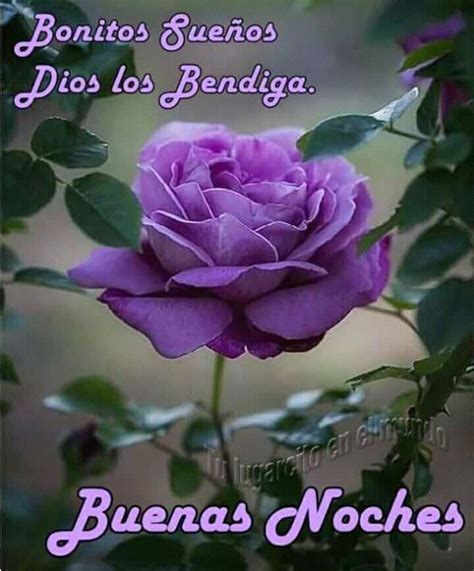 Fotos De Jess Mor En Im Genes Buenas Noches Con Flores Good Night