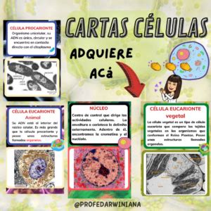 Cuadernillo de Actividades Lección Mamá XPPP