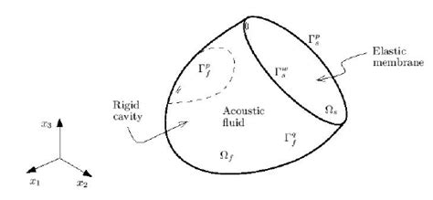 fluid structure interaction problem download scientific diagram