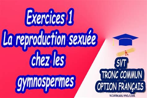 Exercices non corrigés 1 La reproduction sexuée chez les gymnospermes