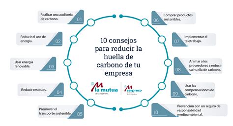 Consejos Para Reducir La Huella De Carbono En Tu Empresa Serpreco