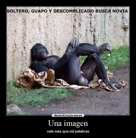 Lista 96 Foto Qué Quiere Decir Una Imagen Dice Más Que Mil Palabras