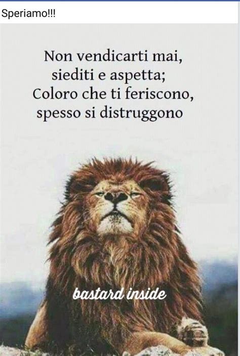 Sì aspetta e spera Citazioni Citazioni d ispirazione Citazioni
