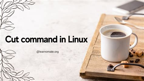 Cut Command In Linux Learnomate Technologies Youtube