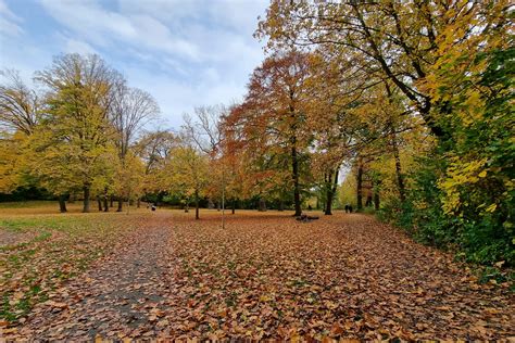 Ernst Ehrlicher Park Bürgerinitiative Baumschutz Hildesheim