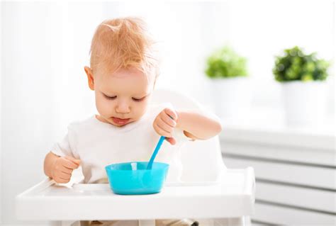 Card Pio Para Introdu O Alimentar Inspire Se Ideias