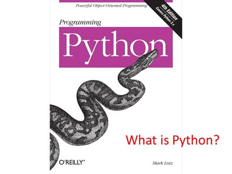 Учебник по питону для начинающих Самоучитель python python 3 для начинающих и чайников