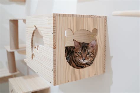 Descobrir 74 Imagem Casas Para Gatos Faciles De Hacer Abzlocal Mx