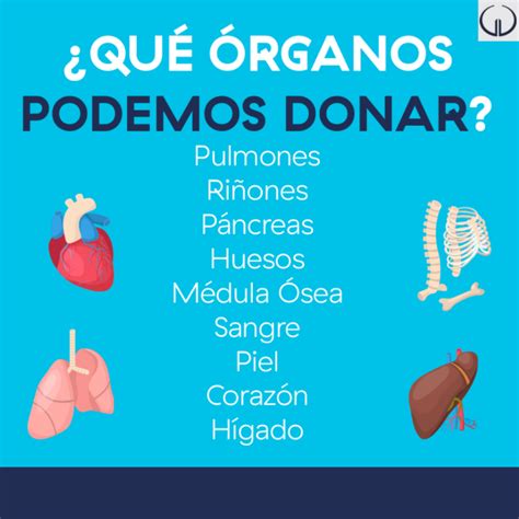 Importancia de la donación y trasplante de órganos