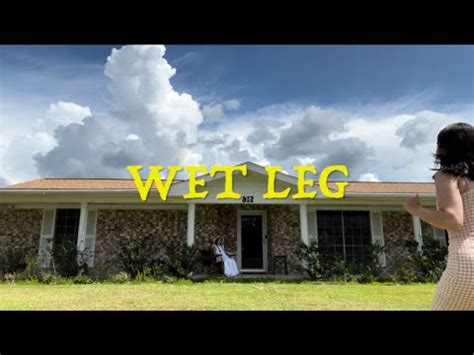 Wet Leg Chaise Longue Recreated Music Video YouTube