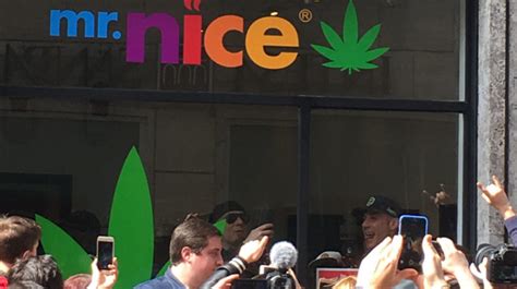 J Ax lancia Maria Salvador La cannabis legale è meglio dell alcool