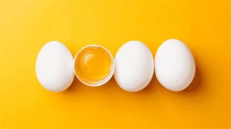Proteína do ovo conheça as vantagens desse alimento