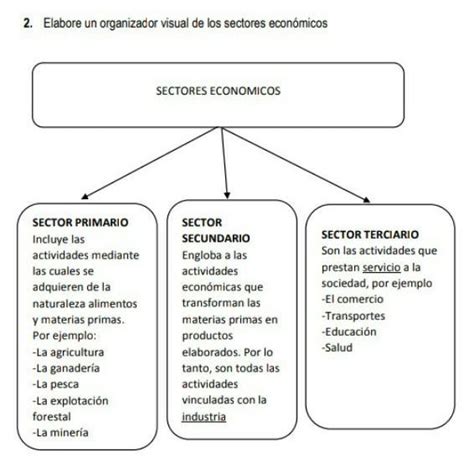 elabora un organizador visual sobre los sectores económicos Brainly lat