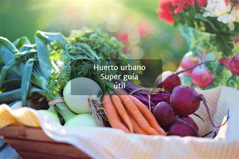 C Mo Hacer Un Huerto Urbano Paso A Paso Super Gu A Detallada Y Til