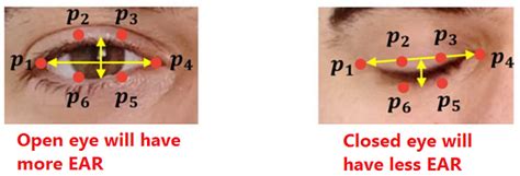 eye aspect ratio ear and drowsiness detector using dlib by dhruv pandey analytics vidhya